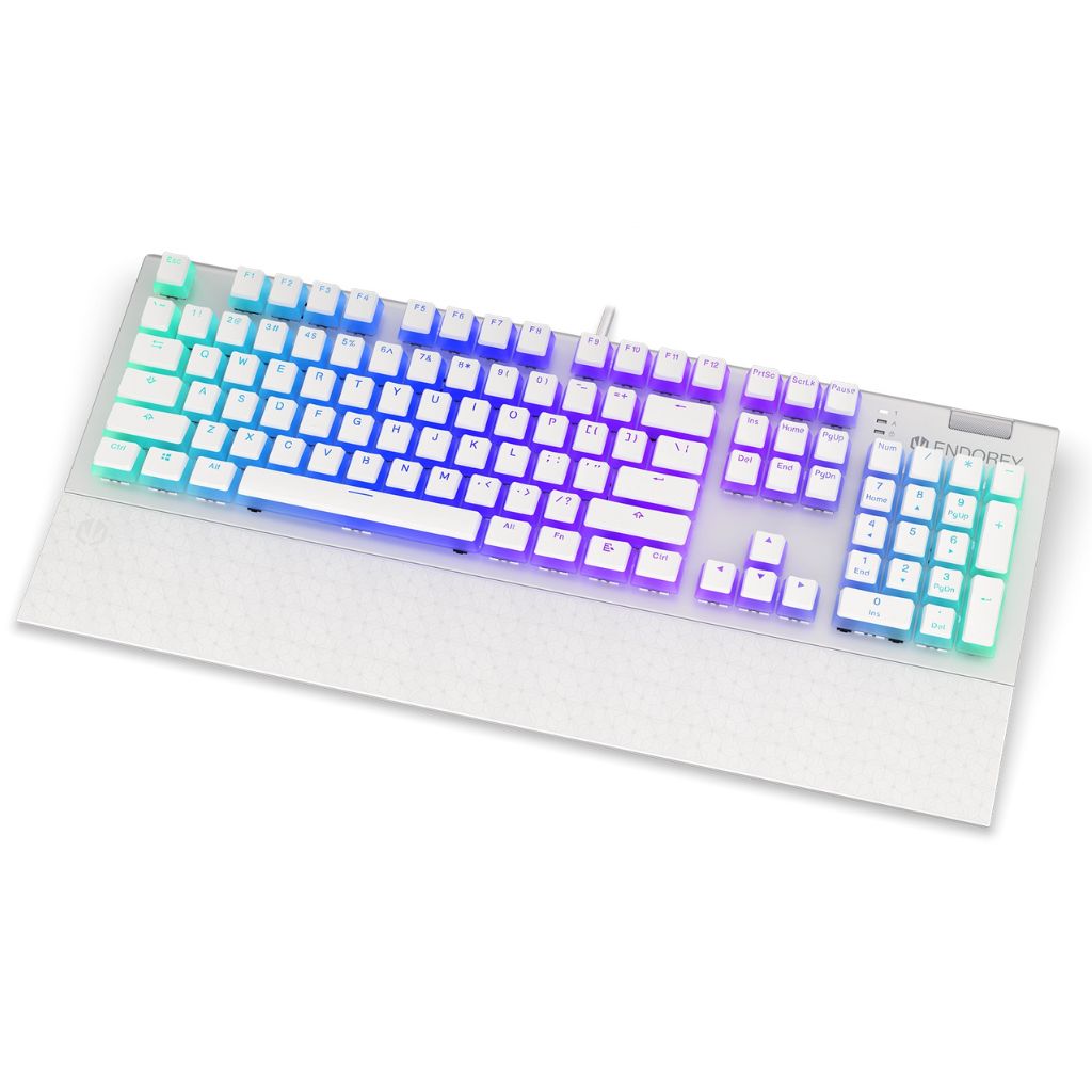 Endorfy Omnis Pudding Onyx Kailh Red PBT Double Shot RGB Wired ...